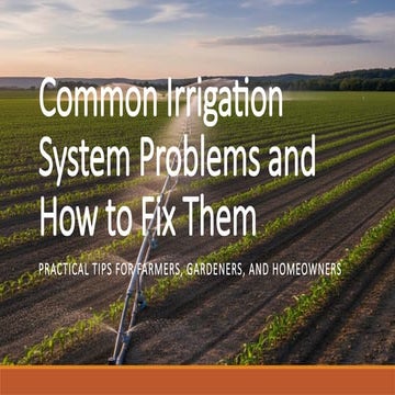 Common Irrigation System Problems and How to Fix.pptx