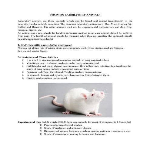 Common lab animals.pdf888888888888888888 | PDF