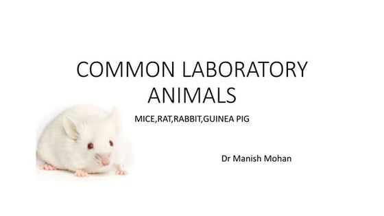 Handling of laboratory animal | PPT