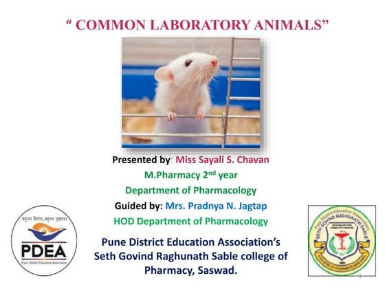 Maintence and breeding of laboratory animals | PPT