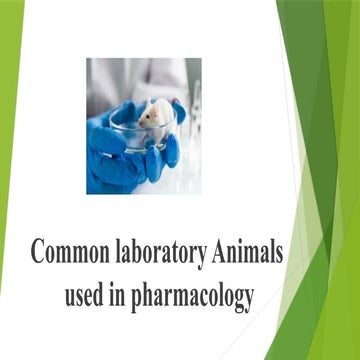 Common Laboratory Animals experiment ppt | PPT