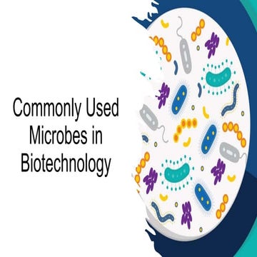 Commonly-Used-Microbes-in-Biotechnology.pptx