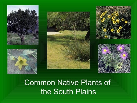 Drawing Sketch Maps of O.S. Maps and Aerial Photographs | PPTX