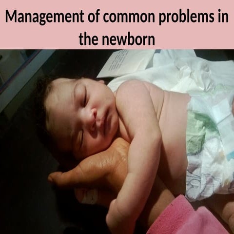 Nicu 2021 Ethiopia | PDF