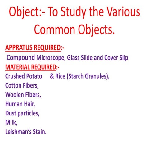 Various Coomon Object Demonstration Pppt | PPT