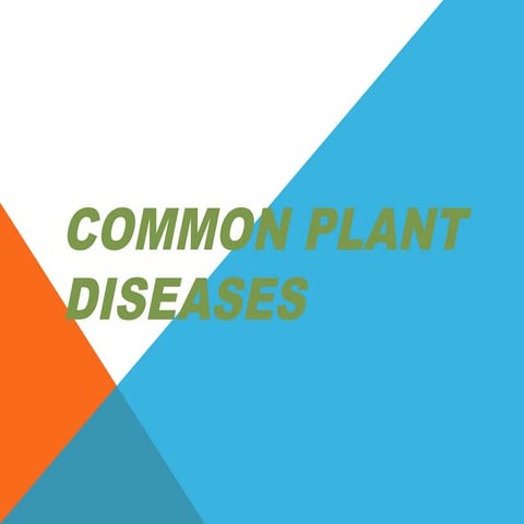 Common plant diseases | PPT