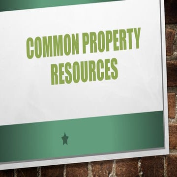 COMMON PROPERTY RESOURCES; CHARACTERISTICS OF GOODS | PDF