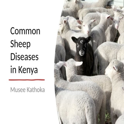 Common_Sheep_Diseases_Kenya_Presentation.pptx