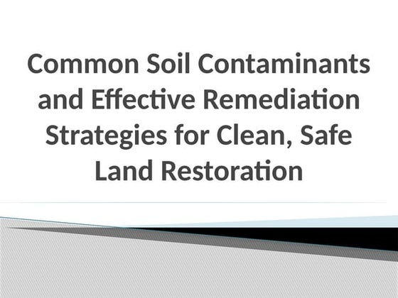 Comprehensive Solutions For Soil And Groundwater Remediation | PPT