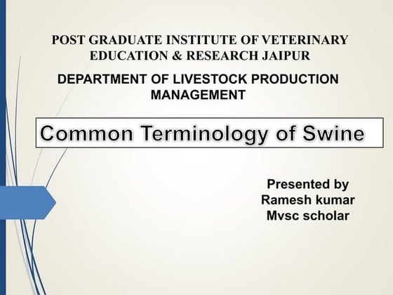 COMMON TERMS USED IN SHEEP AND GOAT | PDF | Agriculture | Industries