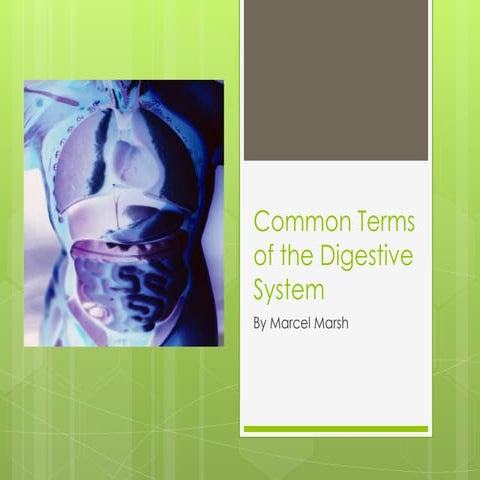 Common terms of the digestive system chapter8 | PPTX