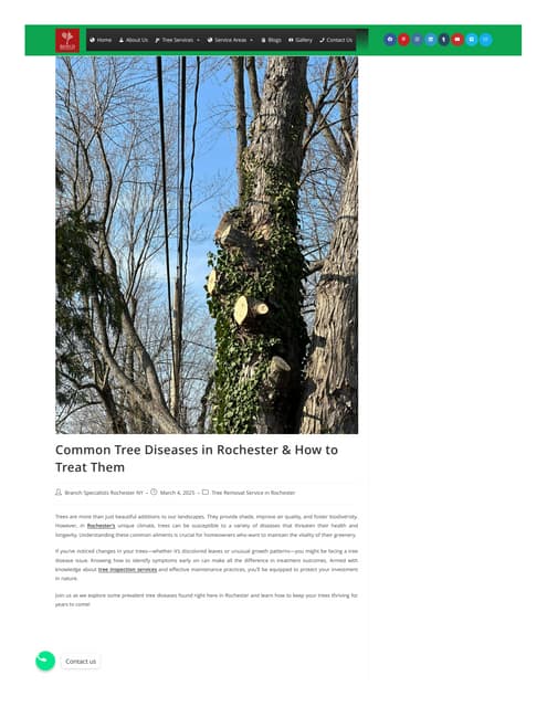 Spotting Dangerous Trees How to Identify Hazards and What You Should Do.pdf