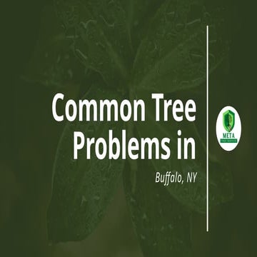 Common Tree Problems and Tree Removal in Buffalo, NY.pptx