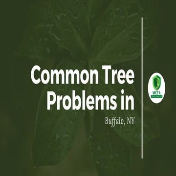 Common Tree Problems in Buffalo, NY & How Tree Services Helps | PPT