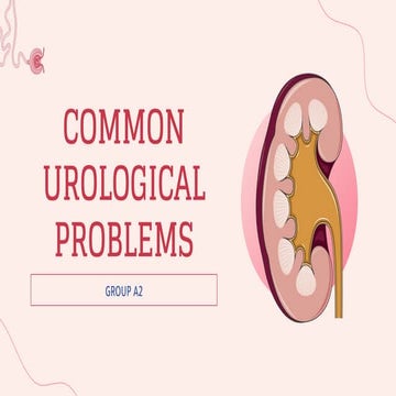 Urological Disorders in surgery 2025 aaa | PDF