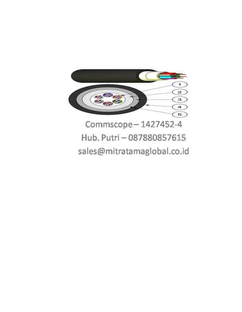 Commscope 1427431 4 | PDF