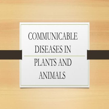 communicable diseases in animals and plants.pptx
