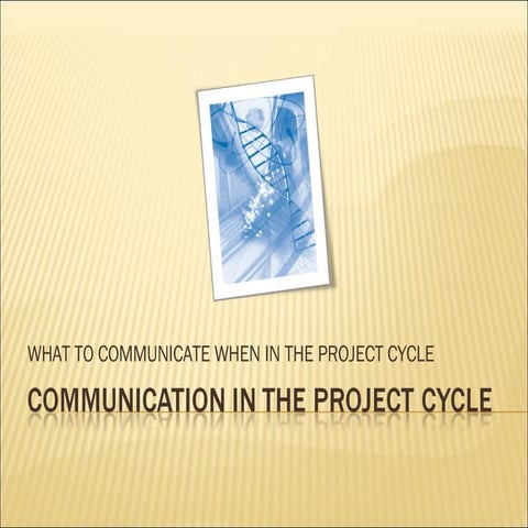 Communication in the Project Cycle | PPT