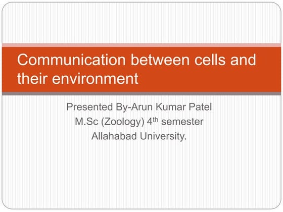 Histology & Function of The Pancreas | PPT