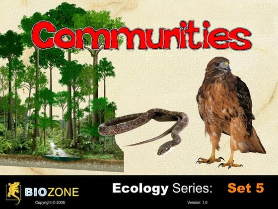 Productivity in ecosystem | PPT