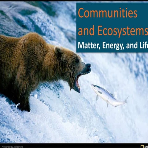Communities and ecosystems | PPT