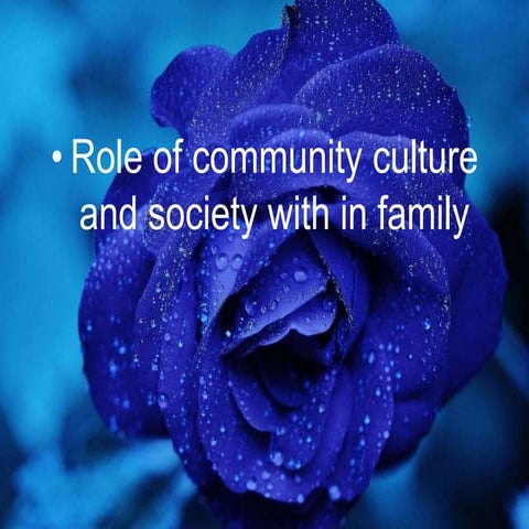 Community,culture,society,families,role of community | PPTX