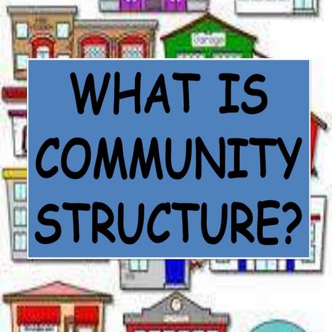 community structures and economic entity-Copy-1.pptx