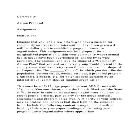 CommunityAction ProposalAssignmentInstructionsImagin.docx
