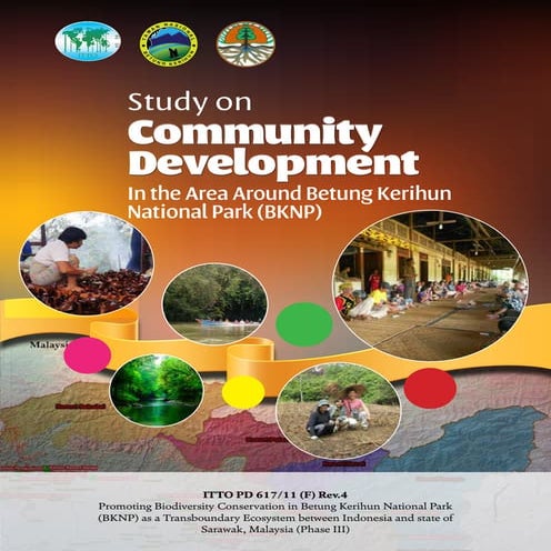 REP092 Non timber forest products - SFM Tabalong (1), J Payn | PDF