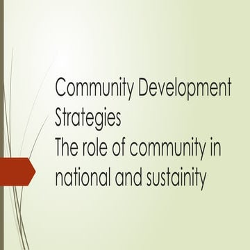 Community Development Strategies and Assets | PPTX