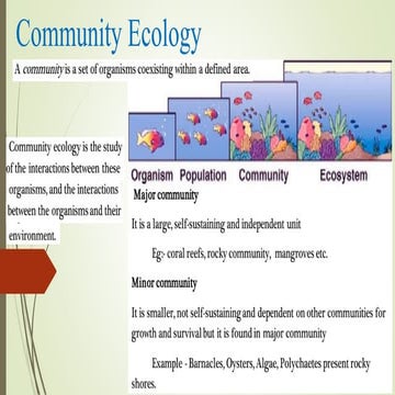 Community Ecology and characteristics of communities | PDF