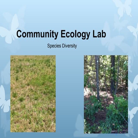 Community ecology lab - species diversity | PPT