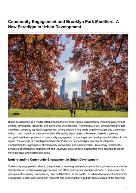 Exploring the Brooklyn Park Modifier What You Need to Know.pdf