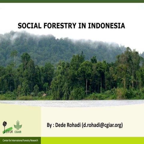 Social forestry in Indonesia | PPTX