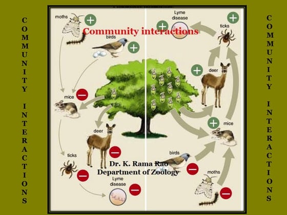 ENERGY FLOW MODELS.pdf