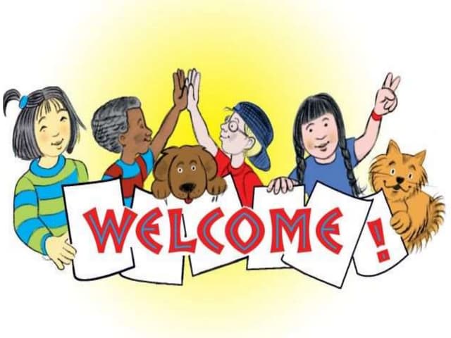 Scope and Process of Community Organization | PPTX