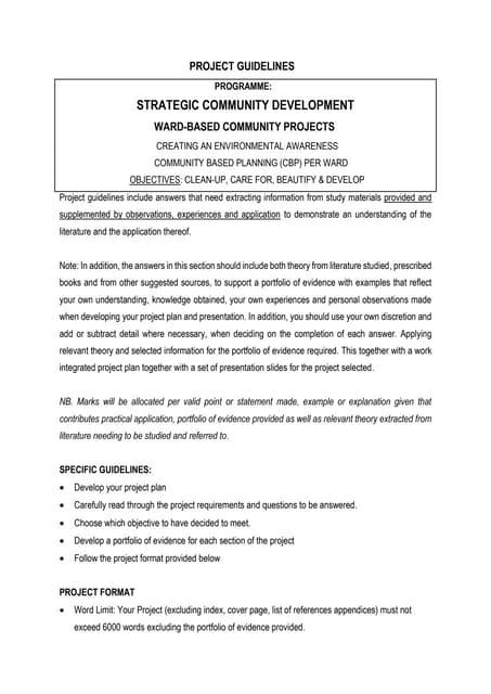 Project guidelines.pptx