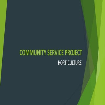 COMMUNITY SERVICE PROJECT[1].pptx