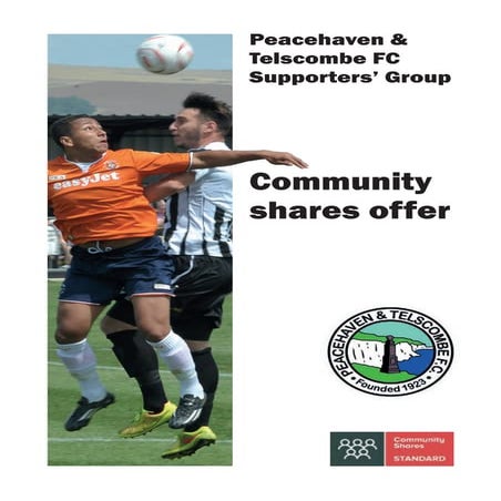 Save Football in Peacehaven | PDF