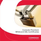 Comodo Premium Wildcard SSL Explained