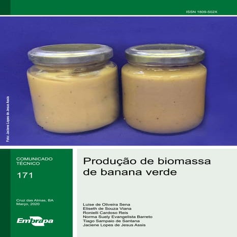 Como fazer biomassa de banana da terra verde | PDF