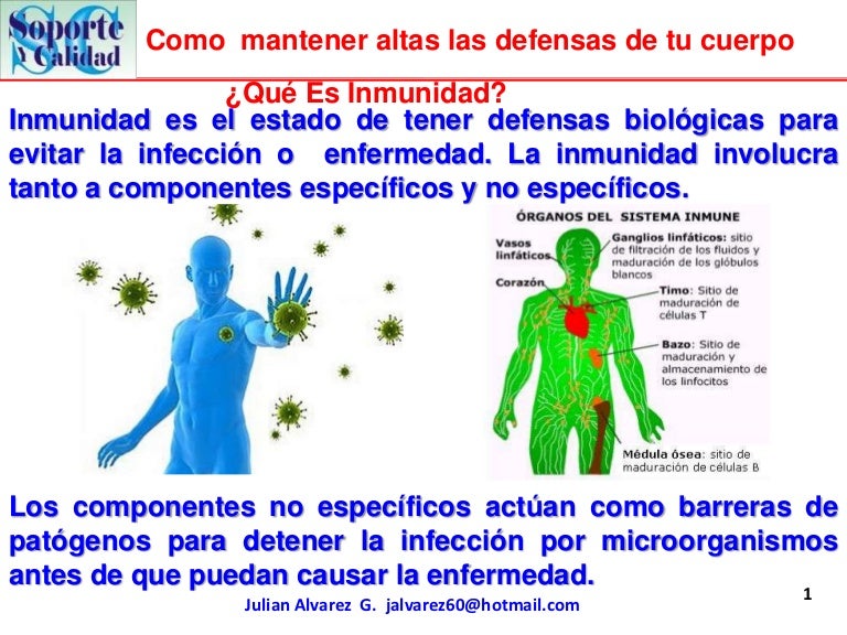 Como mantener alta las defensas de tu cuerpo