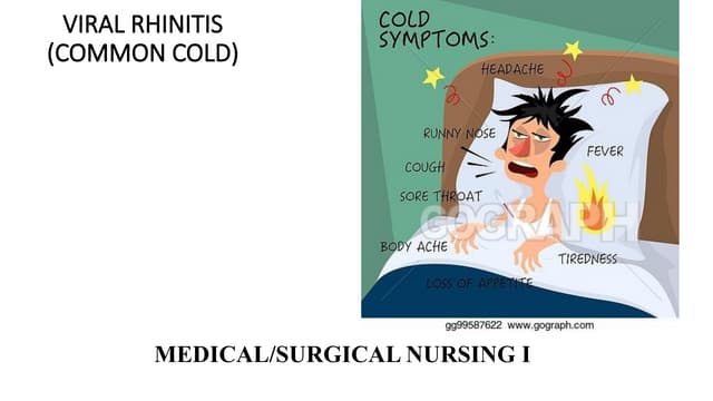 Physical Assessment Techniques (IPPA) pdf | PPTX | Medical Tests ...