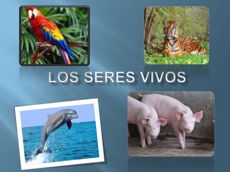 Como Se Relacionan Los Seres Vivos Porn Sex Picture