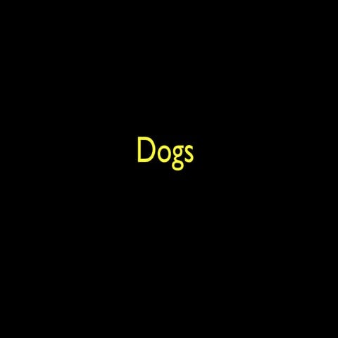 Dogs | PPT