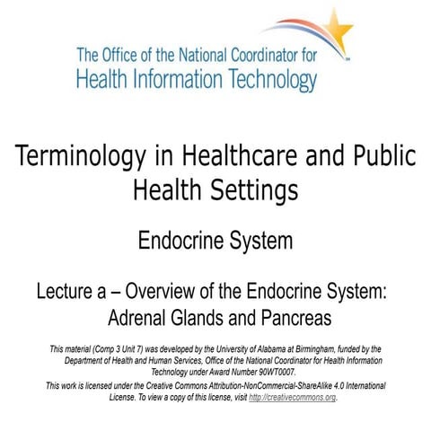 Endocrine System Lecture A Slides Pptx Digestive Disorders