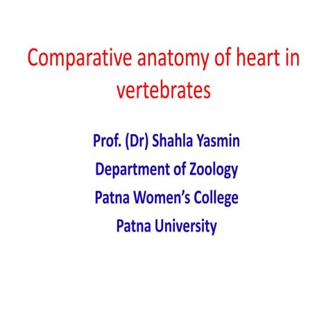 Comp anatomy of heart | PDF
