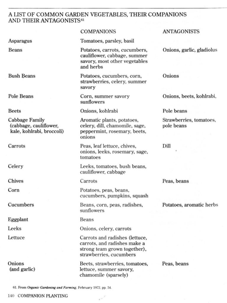 Garden Vegetables List