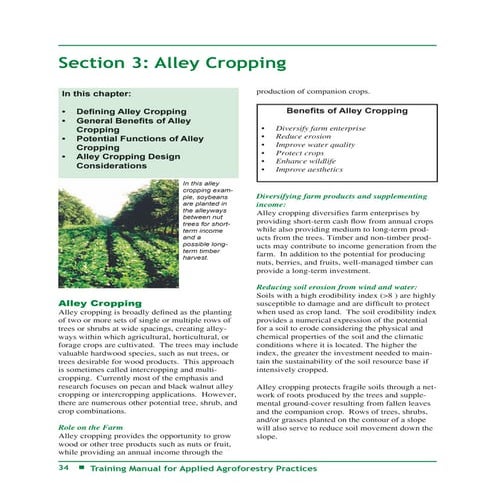 Alley Cropping in Agro Forestry - University of Missouri | PDF ...