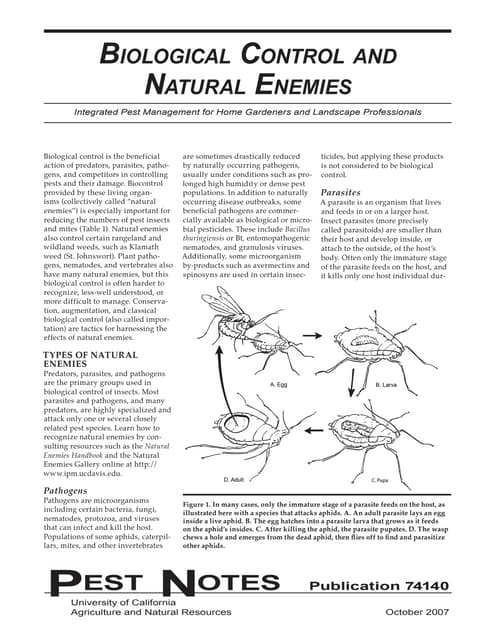 Natural enemies of insects: Parasitoids | PDF